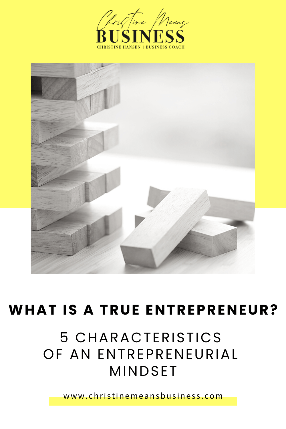 What is a true entrepreneur - 5 Characteristics of an Entrepreneurial ...
